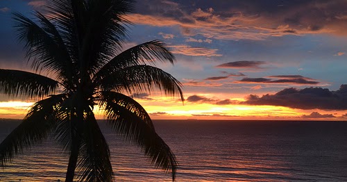 Cronulla Library's Favourite Travel Destination Competition